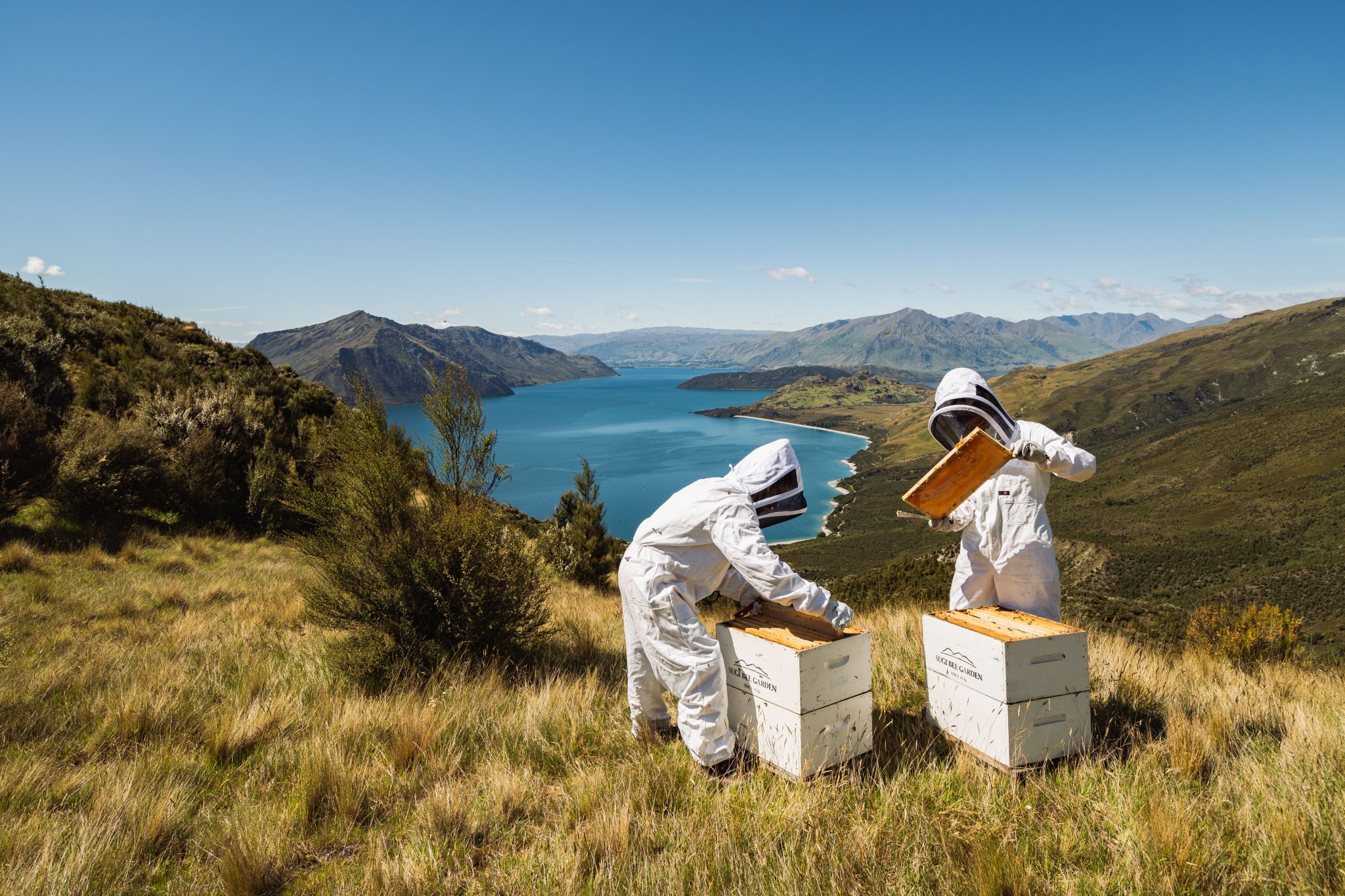 Year-end greetings | SUGI BEE GARDEN Co., Ltd. - Official corporate website